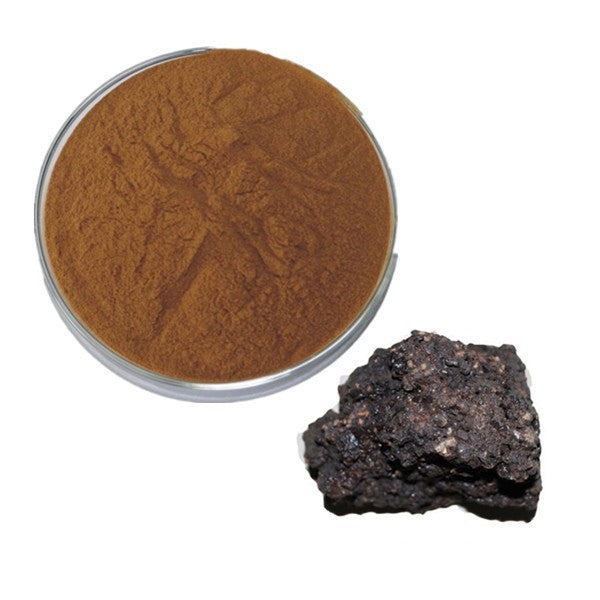 Shilajit Extract Powder Supplier | Manufacturer — Laybio
