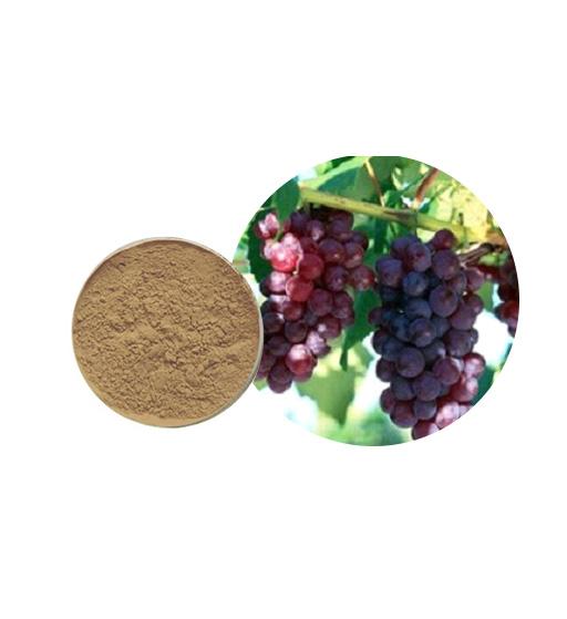 Grape Seed Extract Supplier | Manufacturer — Laybio