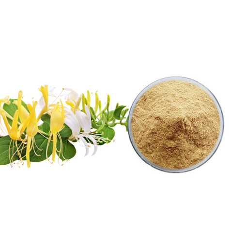 Honeysuckle Extract Supplier | Manufacturer — Laybio
