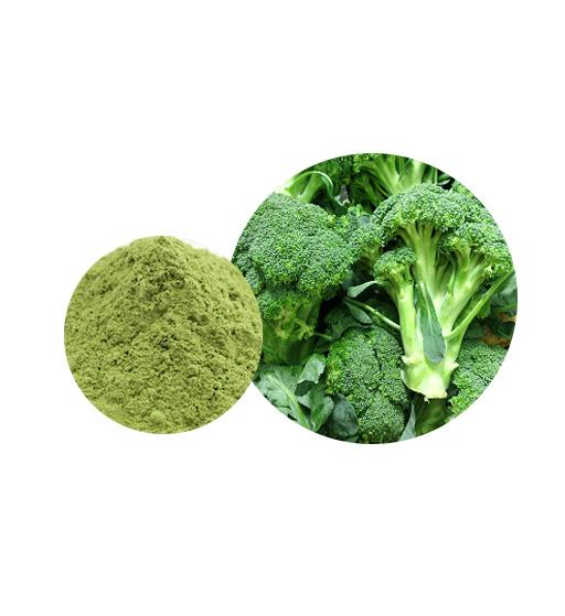 Broccoli Powder Wholesale Supplier — Laybio