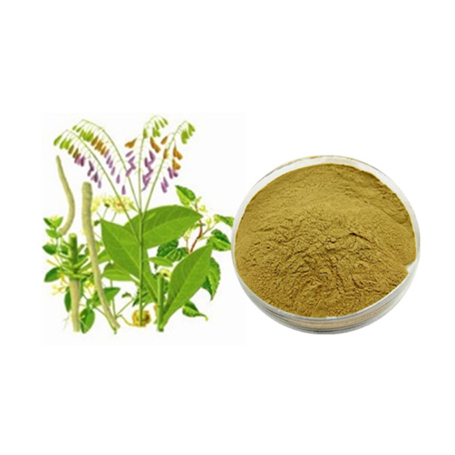 Radix Isatidis Extract Supplier | Manufacturer — Laybio