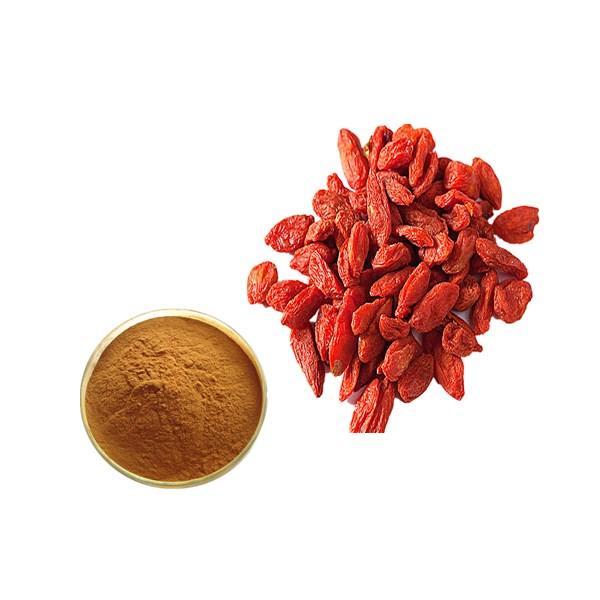 Wolf Berry Extract Supplier | Manufacturer — Laybio